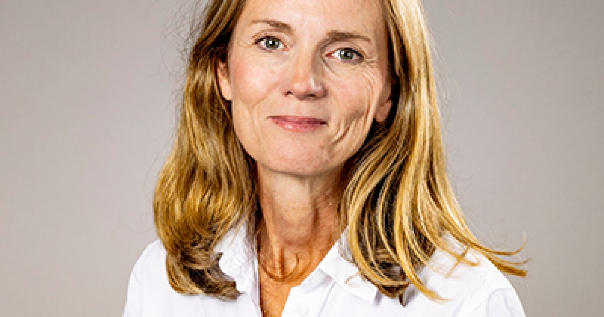 Mobbing og seksuell trakassering (MOST)